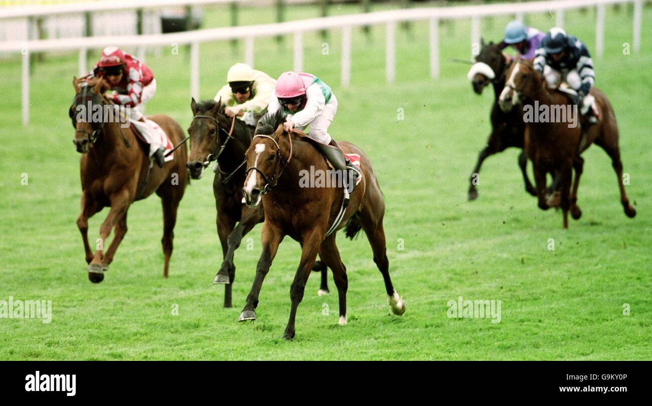 Newmarket races 2nd and 3rd races hi-res stock photography and images ...
