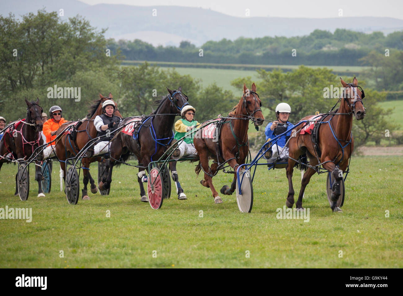Trotting races hi-res stock photography and images - Alamy