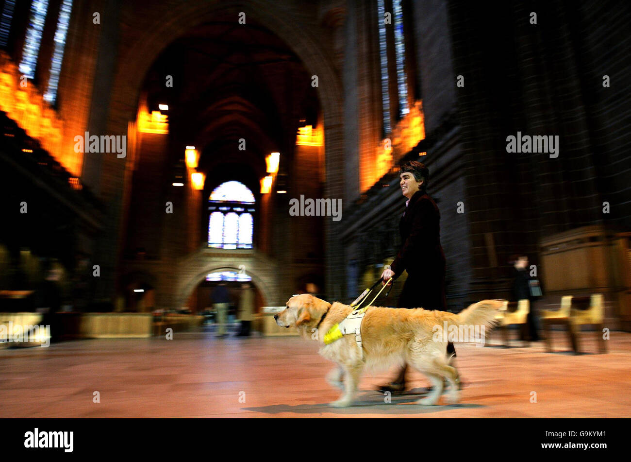 Maureen rowley from bristol with her guide dog gus hi-res stock ...