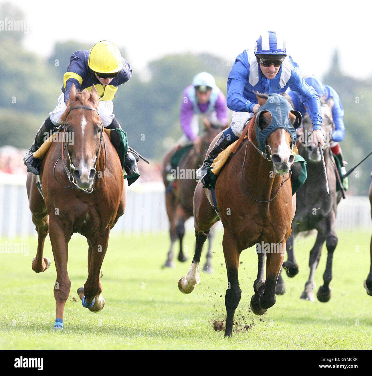 York maraahel hi-res stock photography and images - Alamy