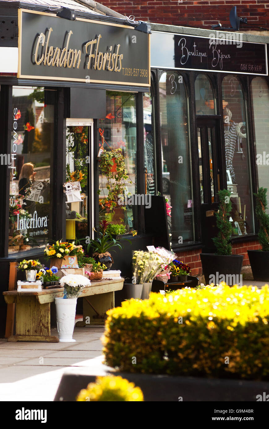 Cleadon, South Tyneside Stock Photo - Alamy