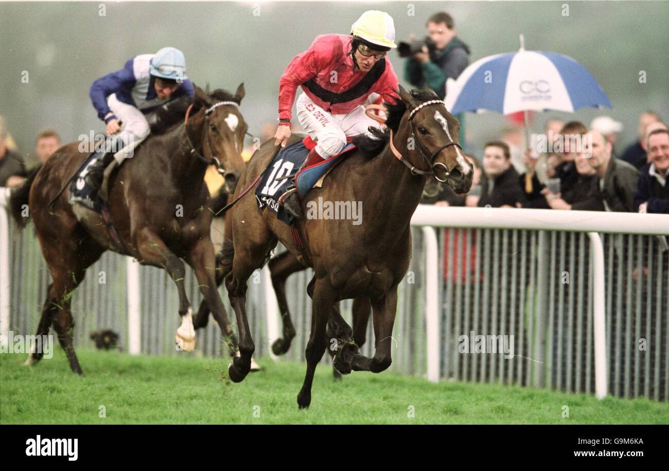 Horse Racing - York Races Stock Photo - Alamy