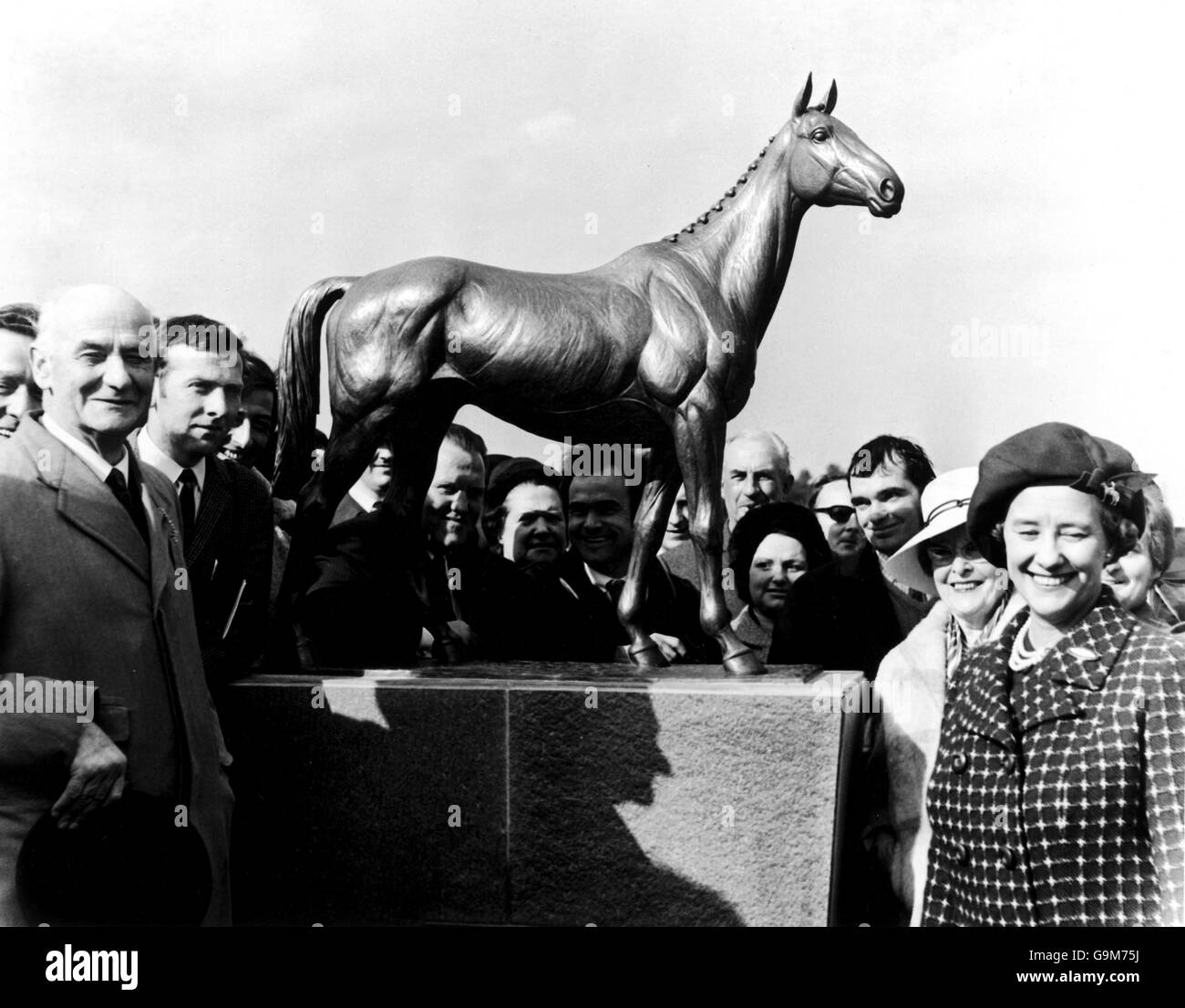 A recently-unveiled statue of Arkle at Cheltenham Racecourse Stock ...