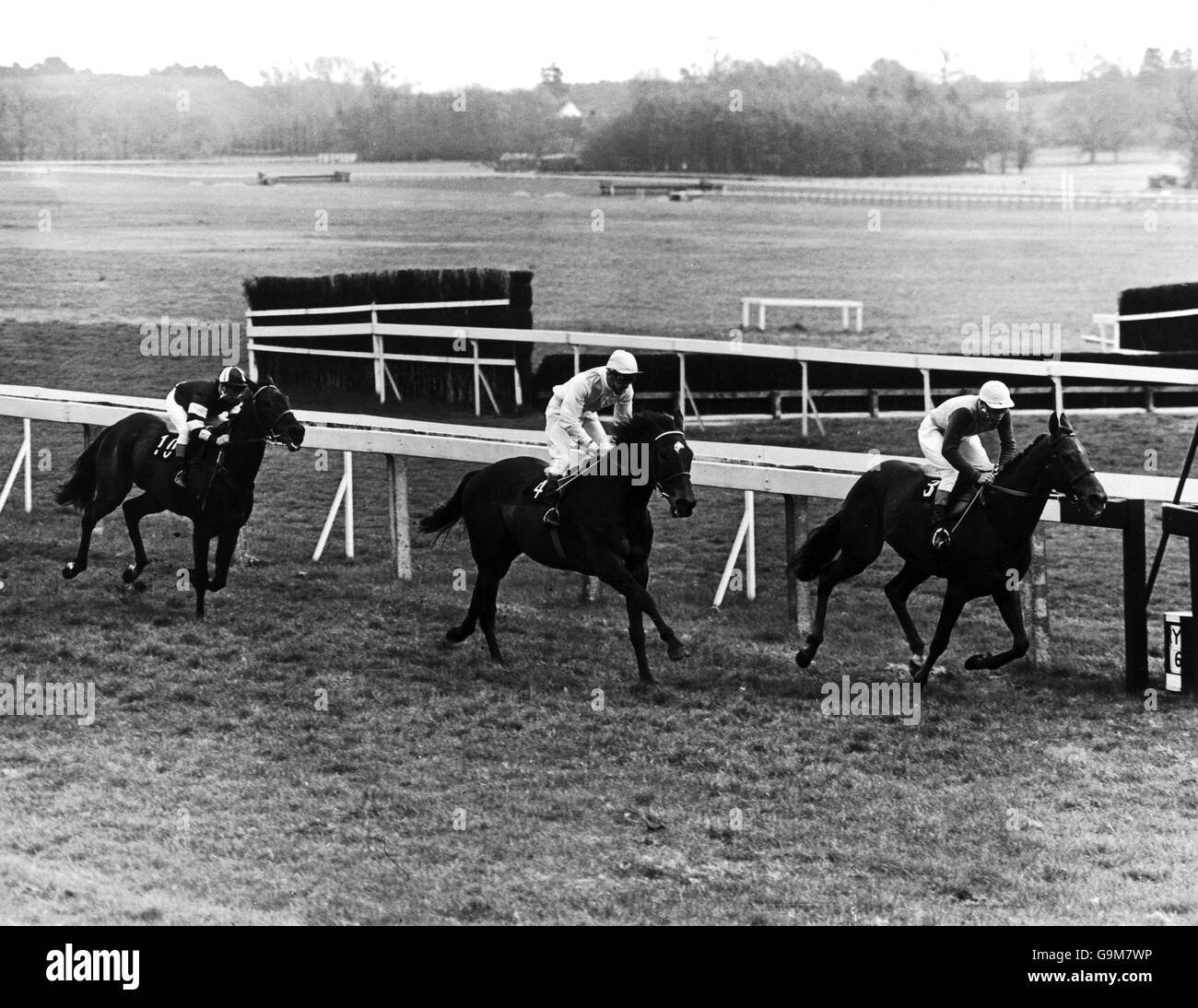 Horse Racing - Newbury Races. B.Hicks on Rosyth (r) leading the race ...