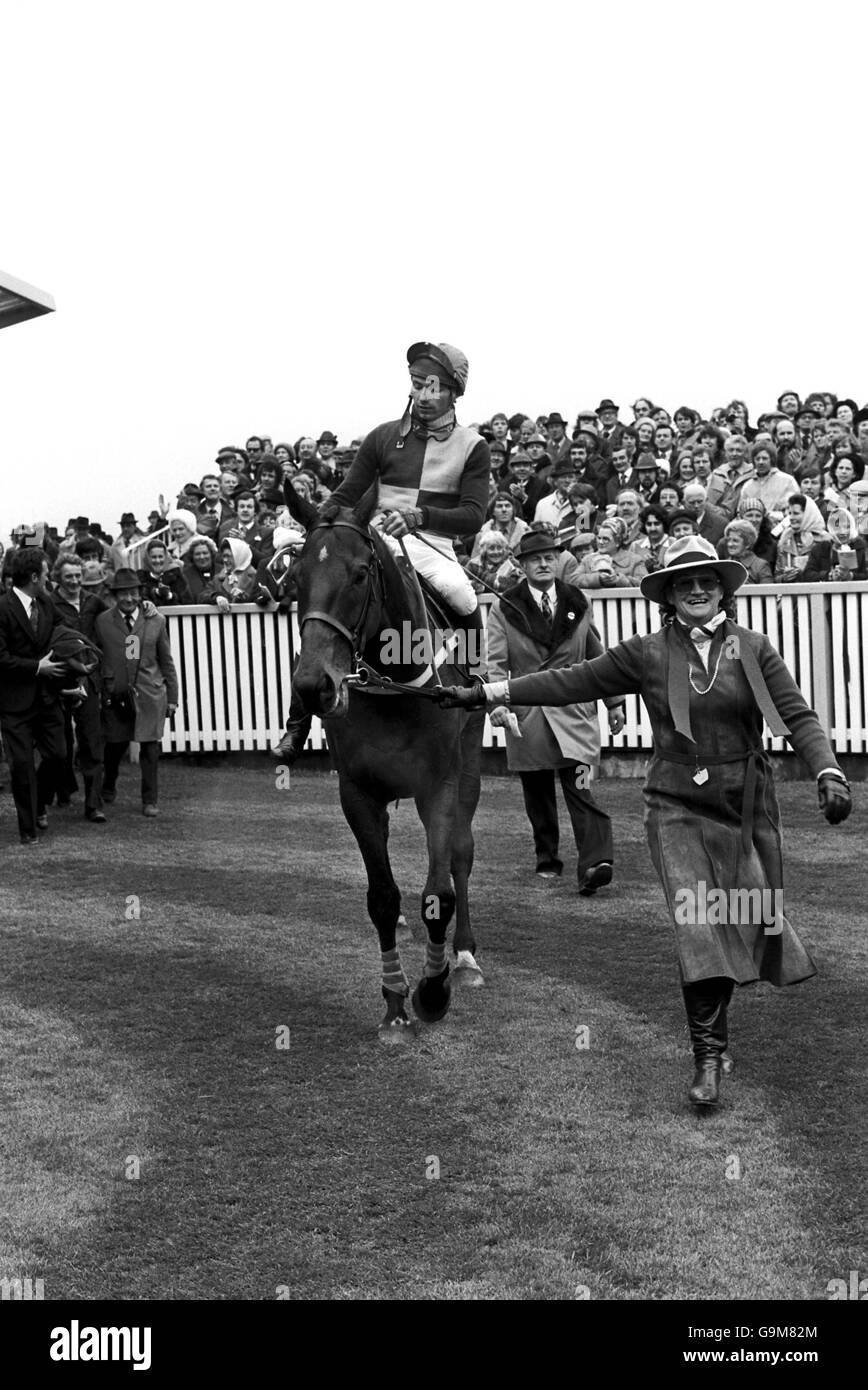 Horse Racing -The Piper Champagne Cheltenham Gold Cup Stock Photo - Alamy