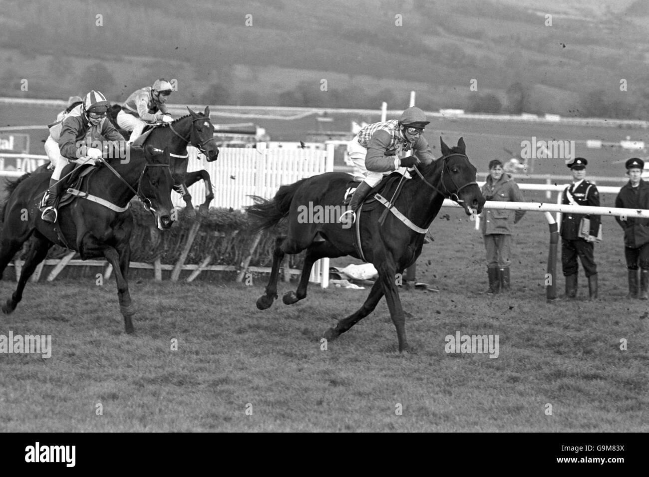 Waterford crystal champion hurdle cheltenham hi-res stock photography ...