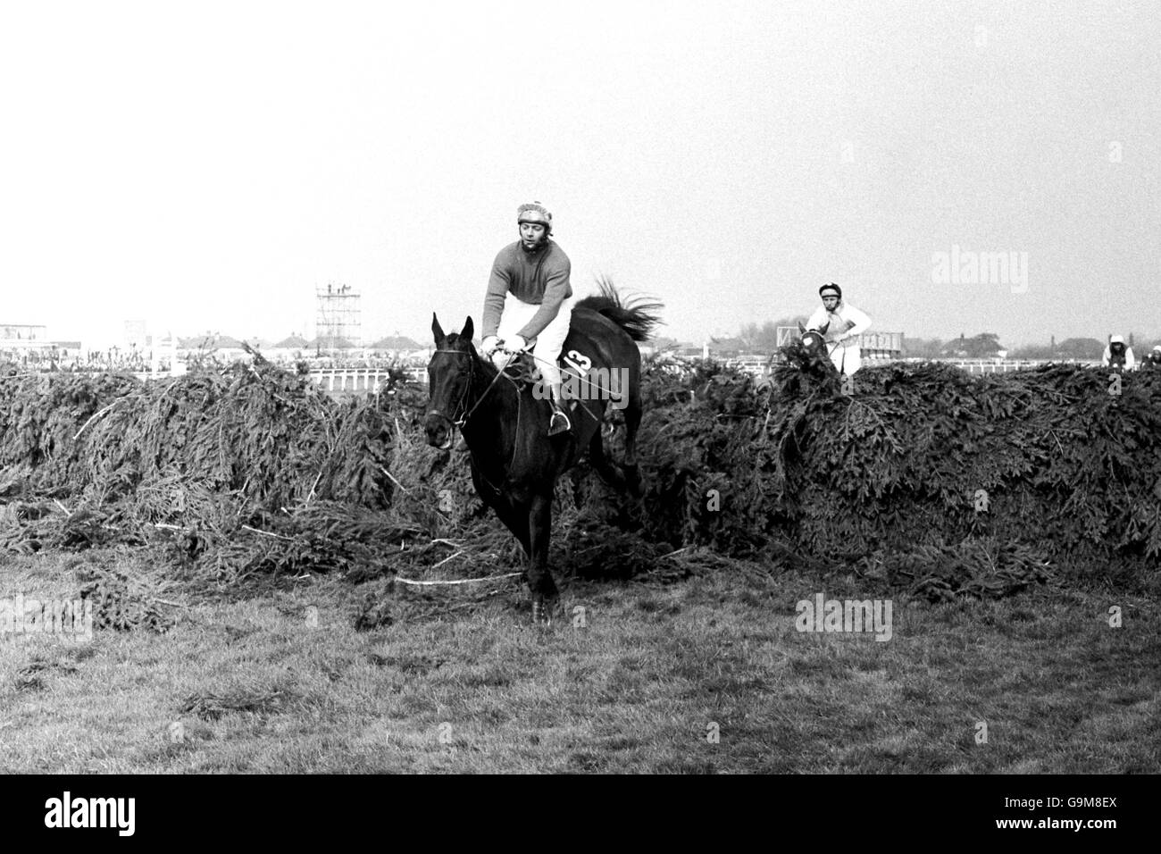 Fence horse race Black and White Stock Photos & Images - Alamy