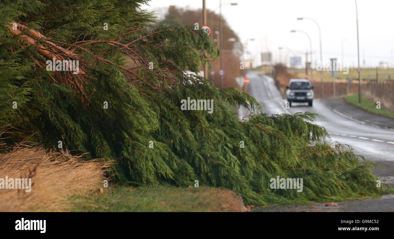 Weather aftermath hi-res stock photography and images - Alamy