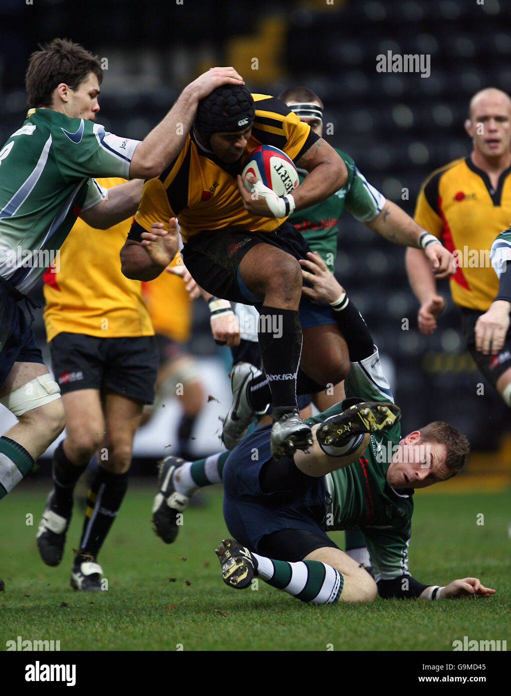 Pertemps bees hi-res stock photography and images - Alamy