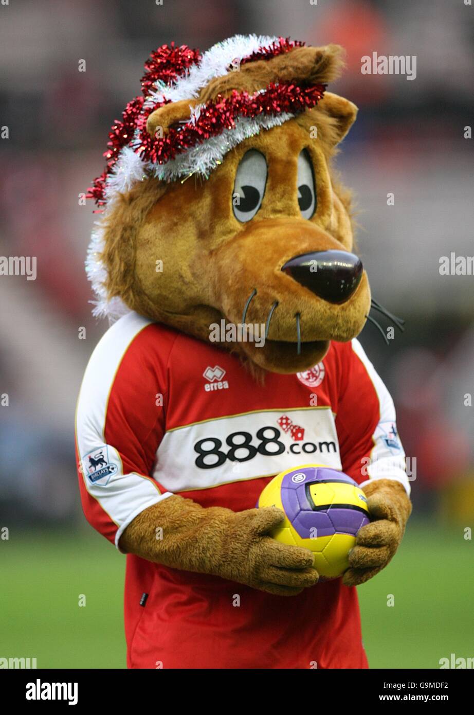 Middlesbrough mascot roary the lion hi-res stock photography and images ...