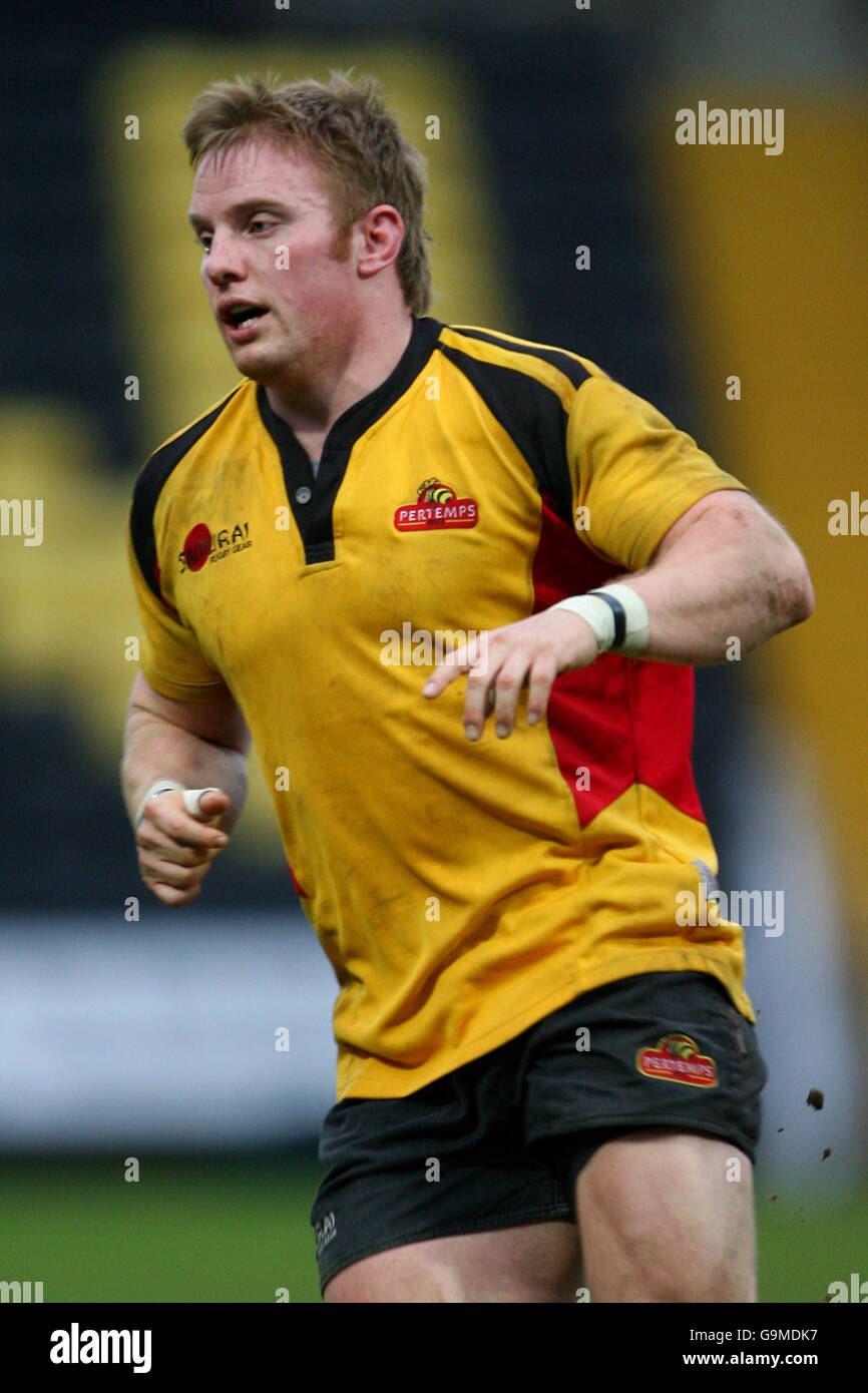 Pertemps bees hi-res stock photography and images - Alamy