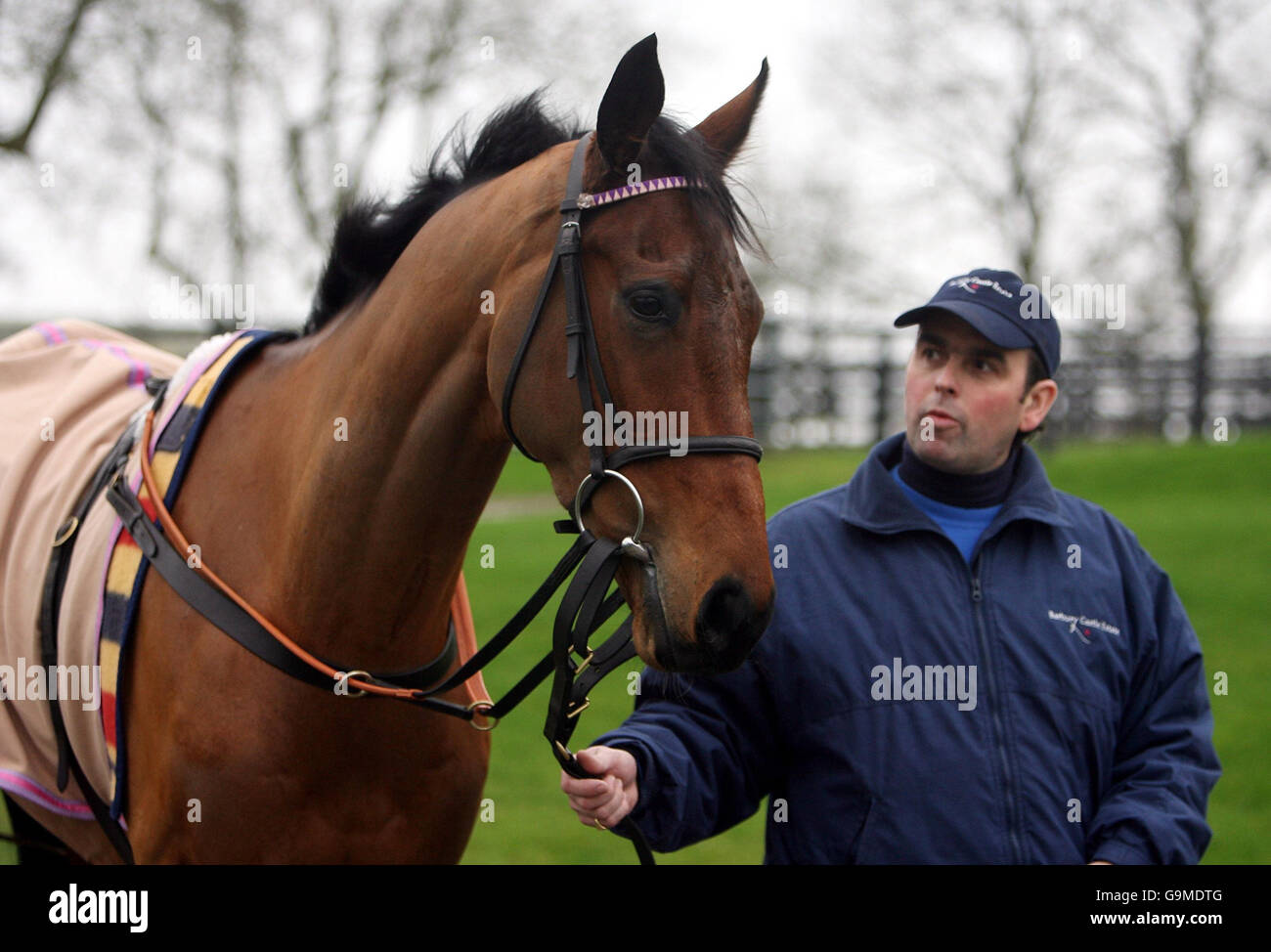 Trainer alan king at his barbury castle stables in wiltshire hi-res ...