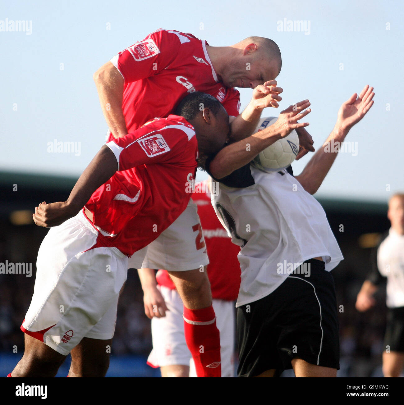 Danny cullip forest hi-res stock photography and images - Alamy