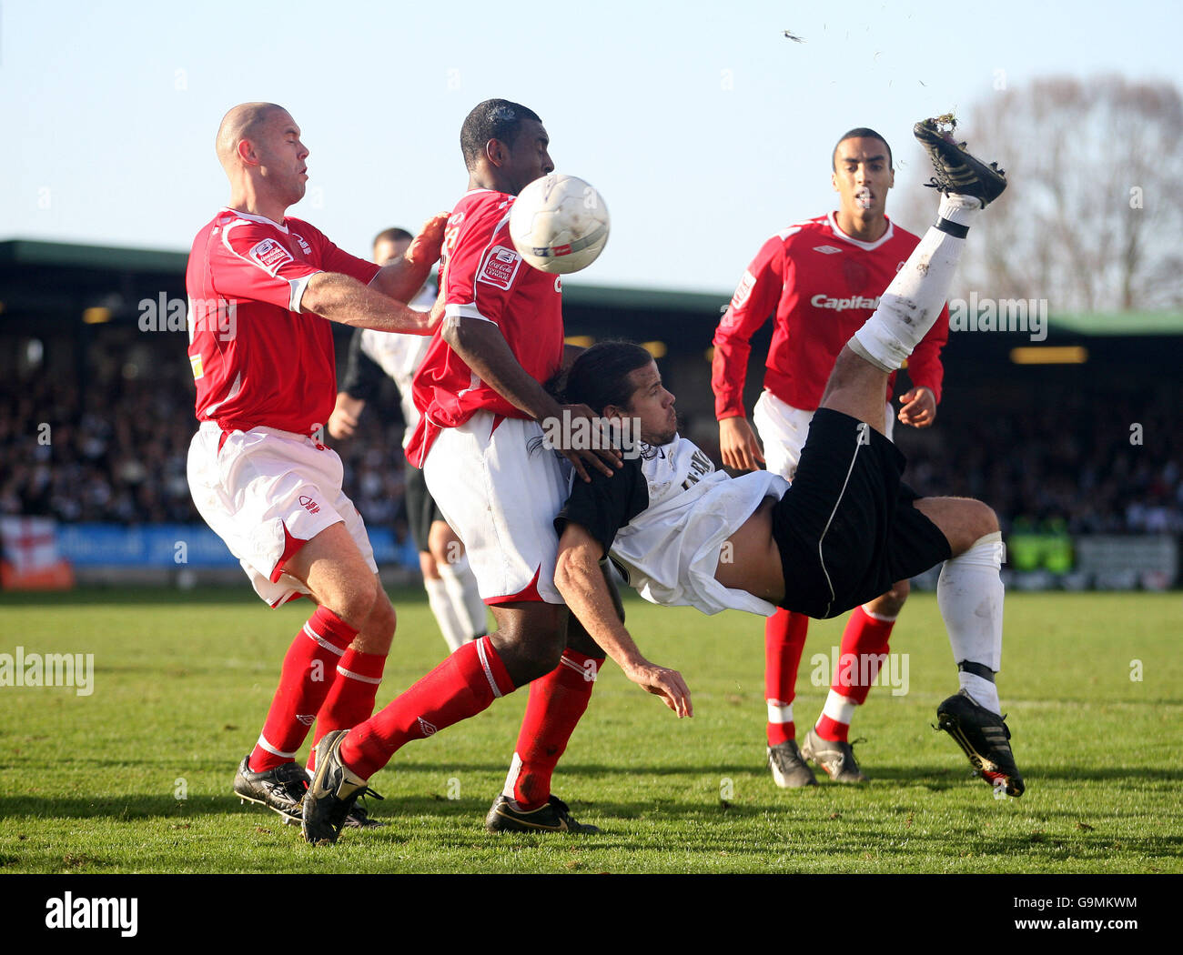 Danny cullip forest hi-res stock photography and images - Alamy