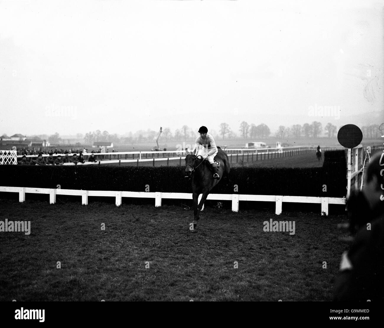 Arkle horse hi-res stock photography and images - Alamy