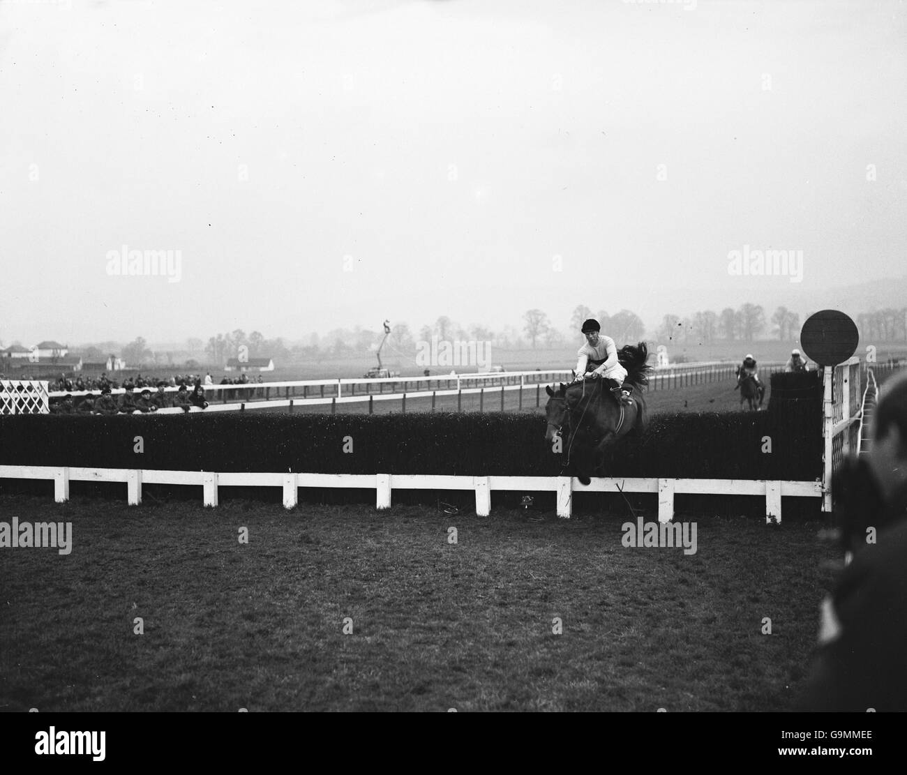 Arkle cheltenham gold cup hi-res stock photography and images - Alamy