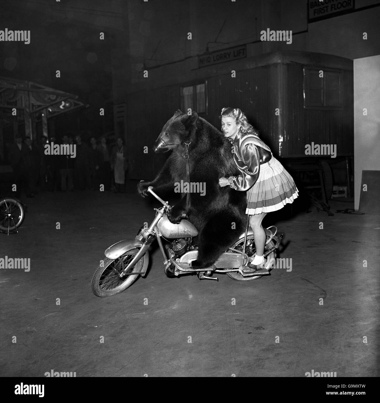 Daredevil in daredevil Black and White Stock Photos & Images - Alamy