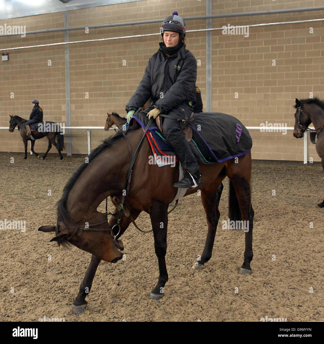 Horse Racing - Jonjo O'Neill stable visit - Jackdaws Castle. Black Jack ...