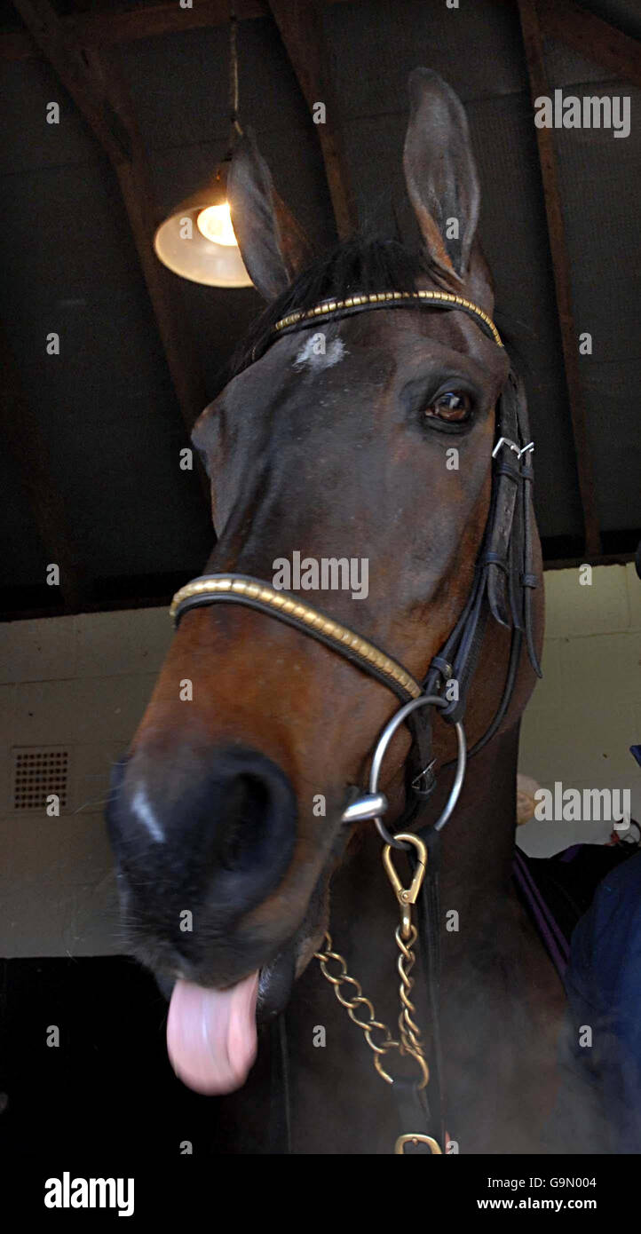 Horse Racing - Jonjo O'Neill stable visit - Jackdaws Castle Stock Photo ...