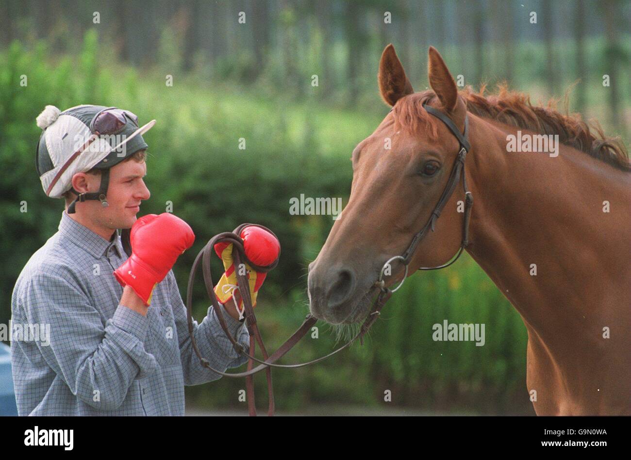 BOXING JOCKEY STEPHEN WILLIAMS WITH RACE HORSE DOULABS IMAGE AT CLUMBER ...