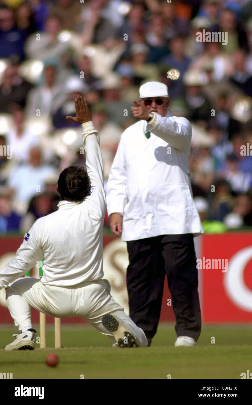 David shepherd cricket umpire hi-res stock photography and images - Alamy