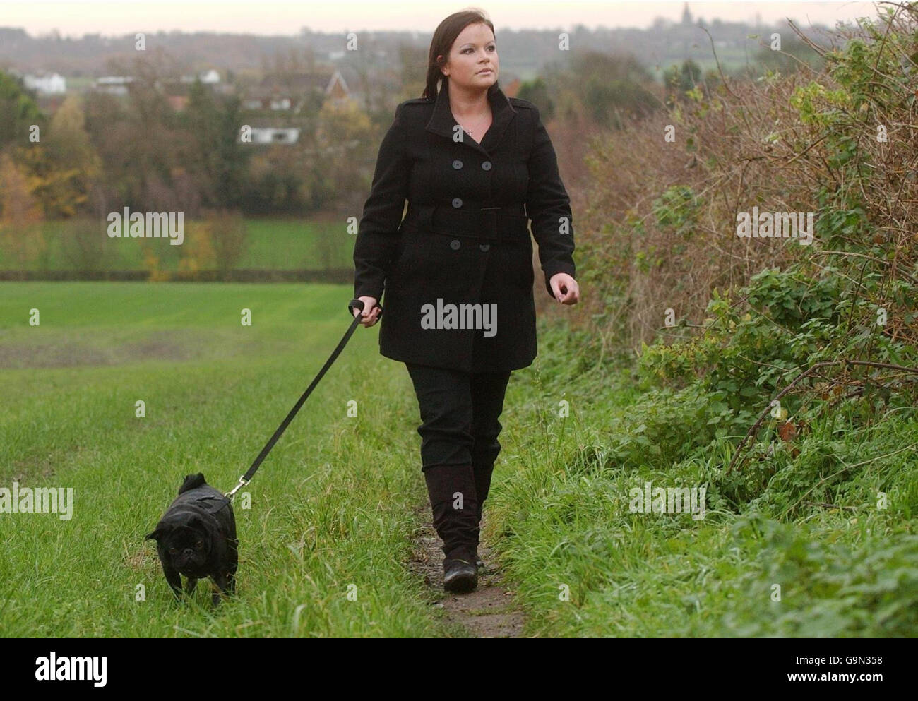 Full length black walking serious dog mangpb hi-res stock photography ...