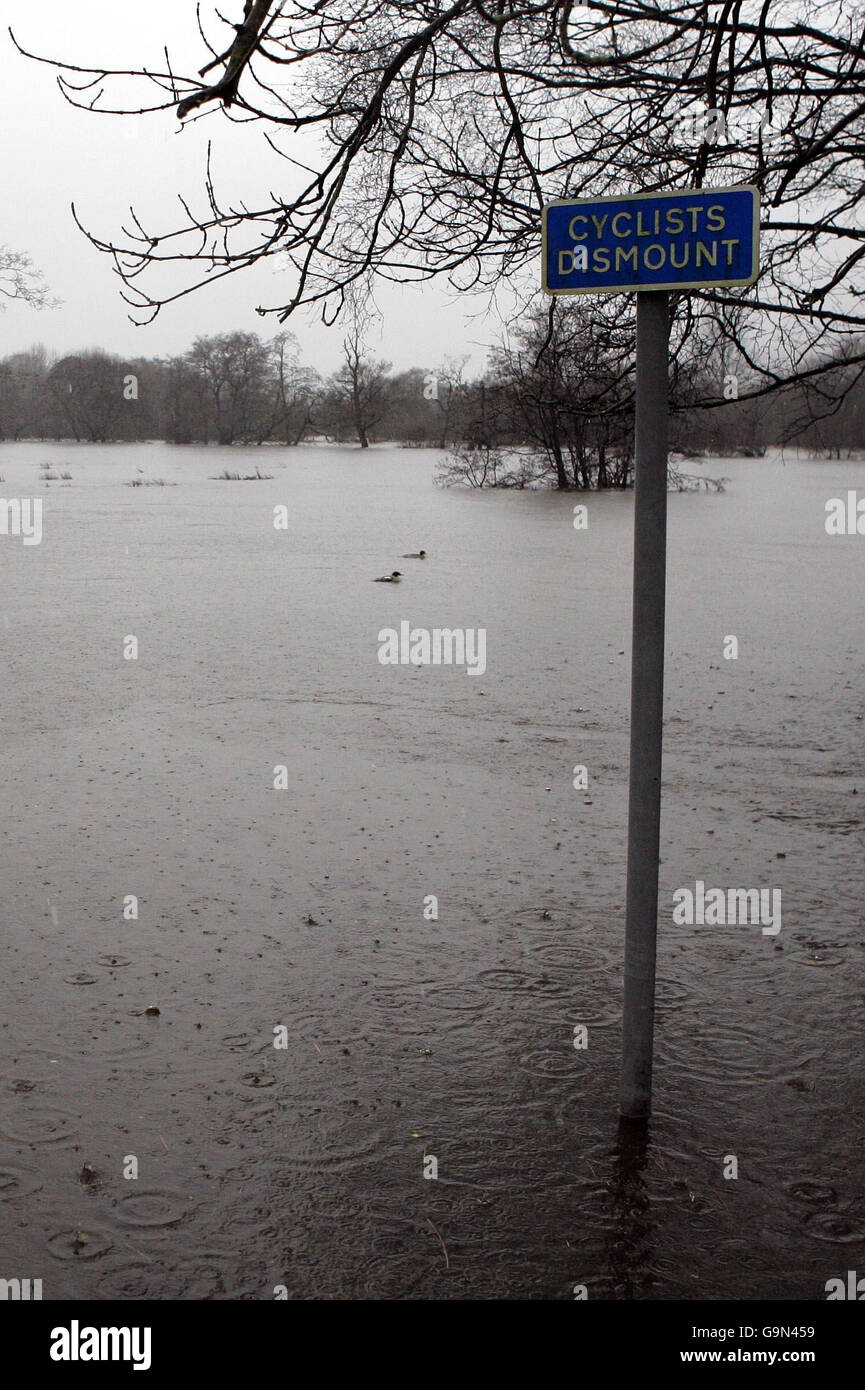 Sepa scotland hi-res stock photography and images - Alamy