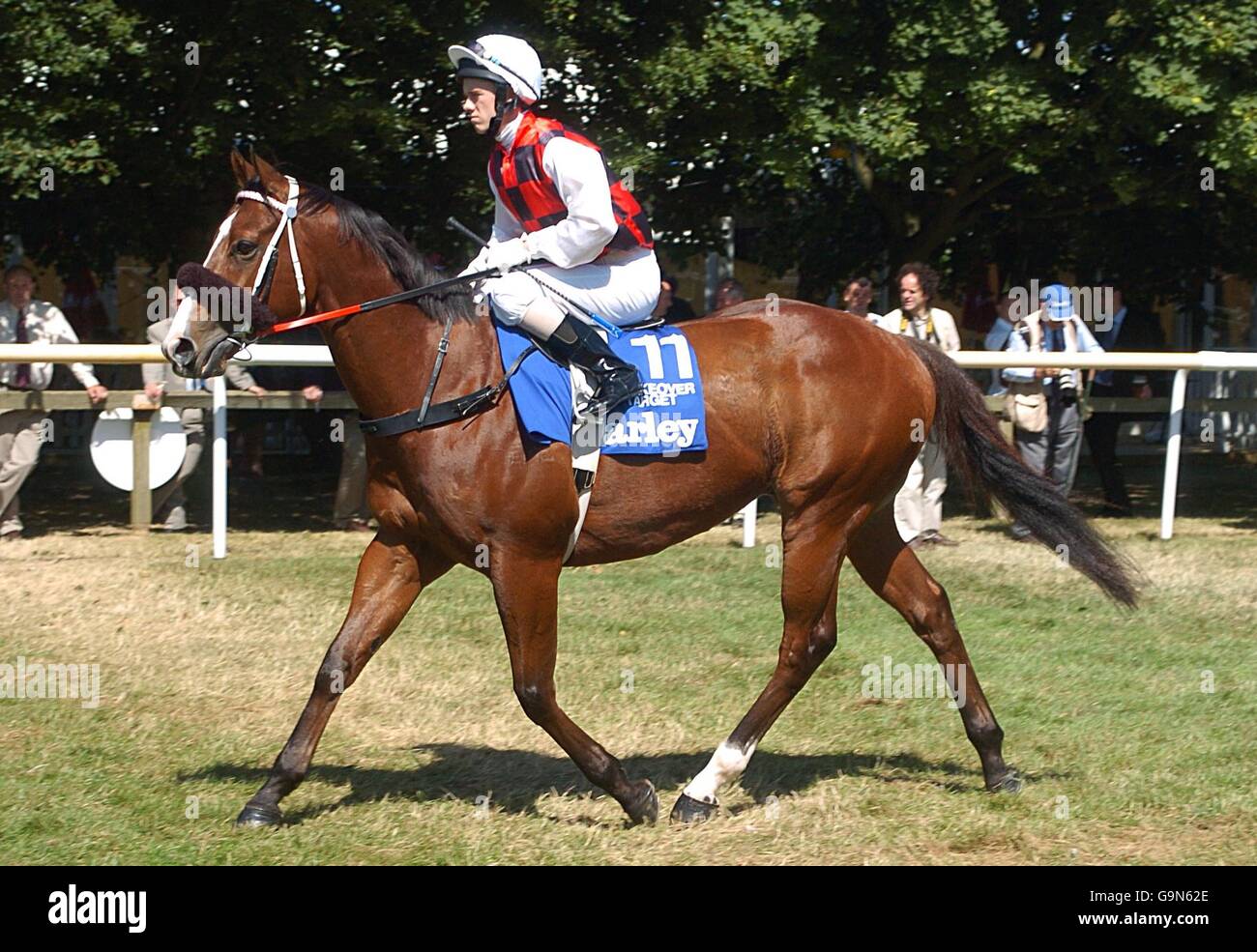 Takeover target horse hi-res stock photography and images - Alamy
