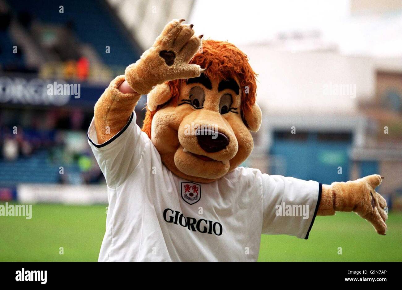Millwall mascot zampa lion hi-res stock photography and images - Alamy