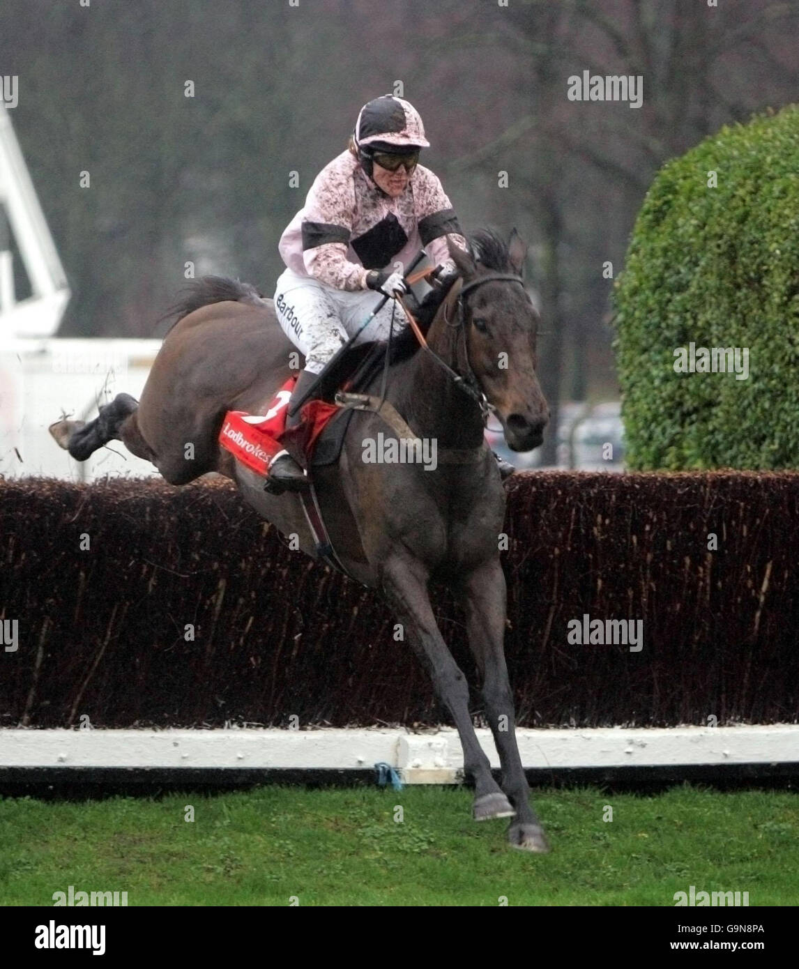 Racing - Sandown Park racecourse Stock Photo - Alamy
