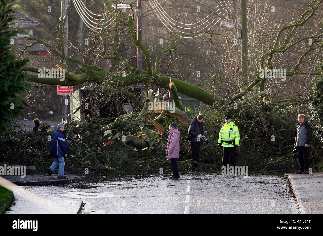 A tree blocks a road in Glenavy Co Antrim as heavy rain and gale force ...