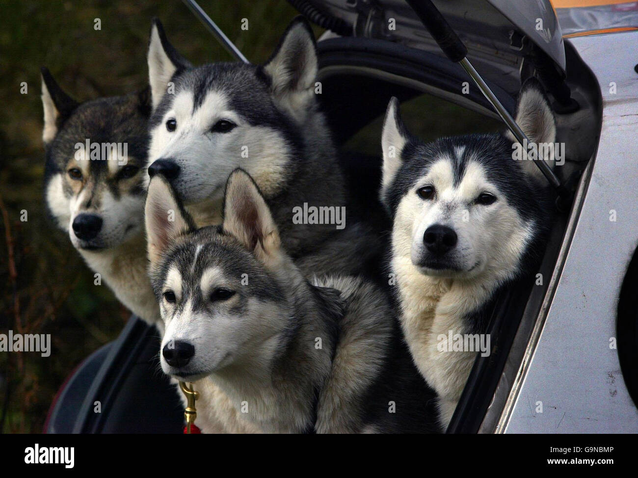 Rally car club hi-res stock photography and images - Alamy