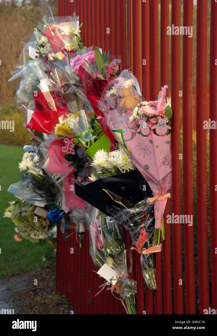 Floral tributes attached to a fence in hunsworth lane hi-res stock ...