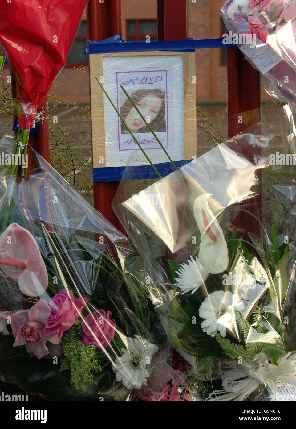 Floral tributes attached to a fence in hunsworth lane hi-res stock ...