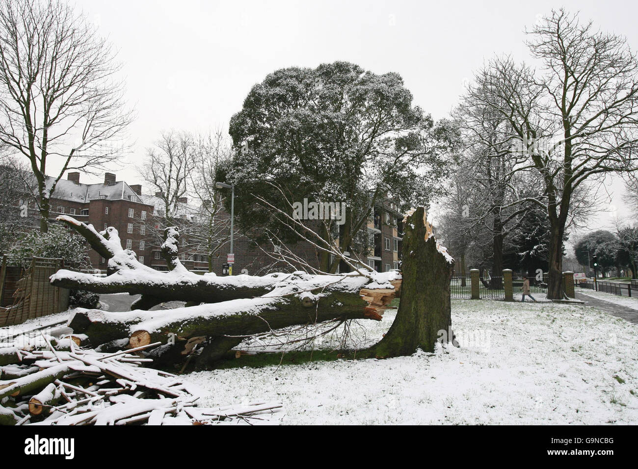 Snowfall in the UK Stock Photo - Alamy