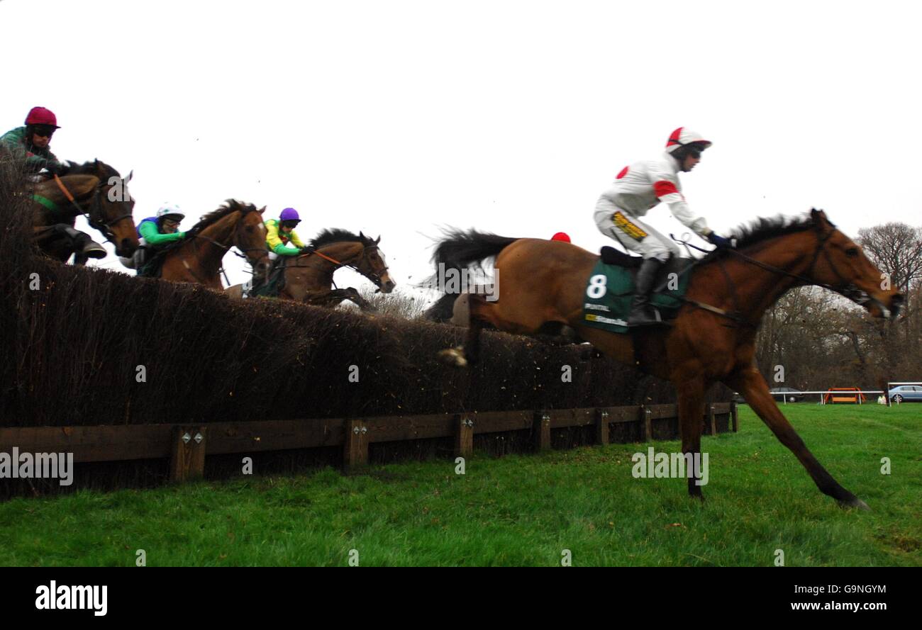 James Niall High Resolution Stock Photography and Images - Alamy