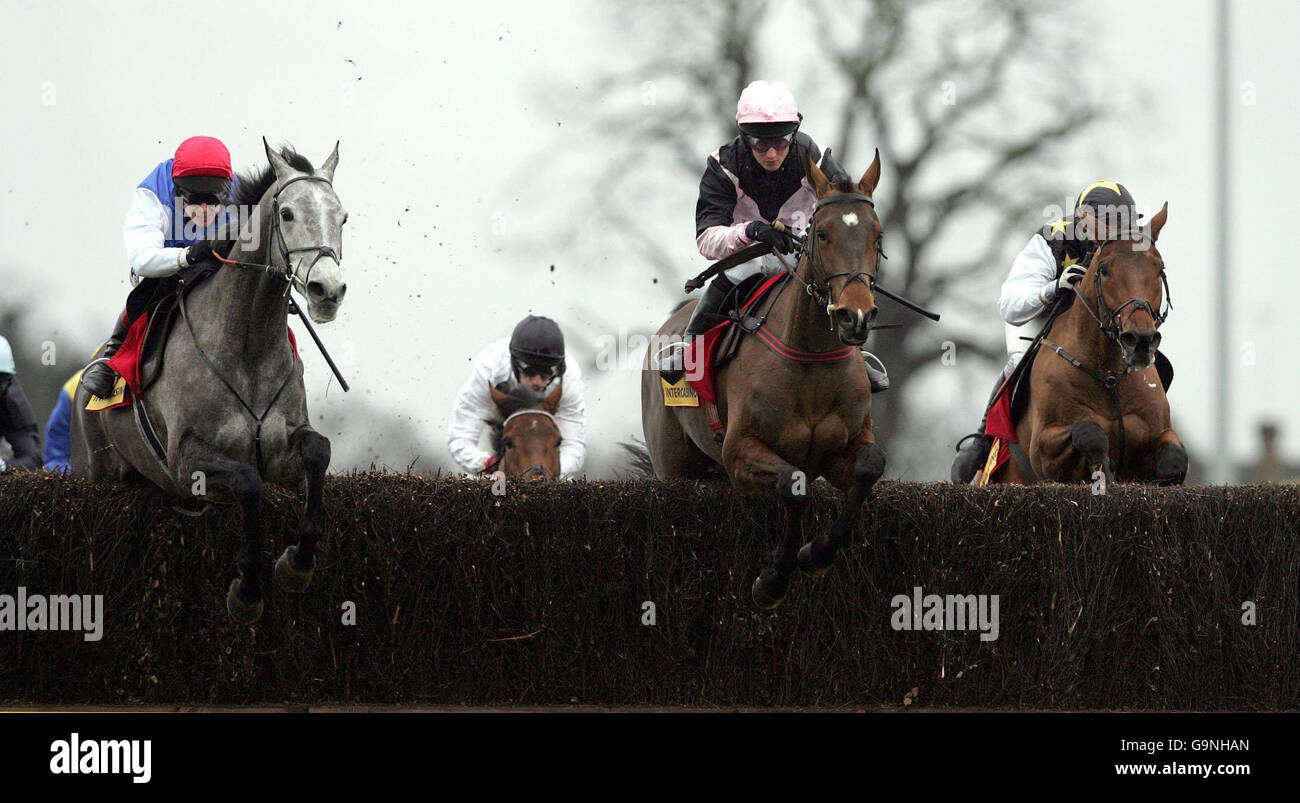 Lady of Scarvagh (centre) ridden by Neil Mulholland on the way to ...