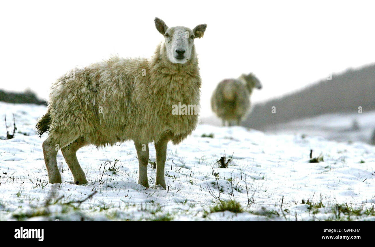 Snow in Dublin Stock Photo - Alamy
