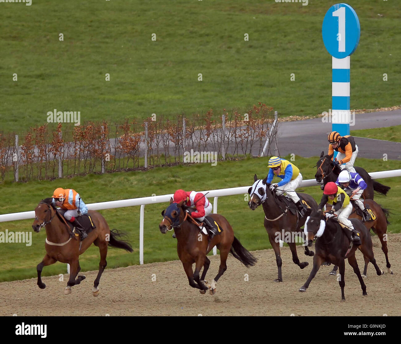 Horse Racing - Kempton Stock Photo - Alamy