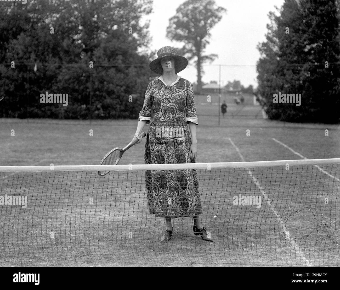 Viola tree hi-res stock photography and images - Alamy