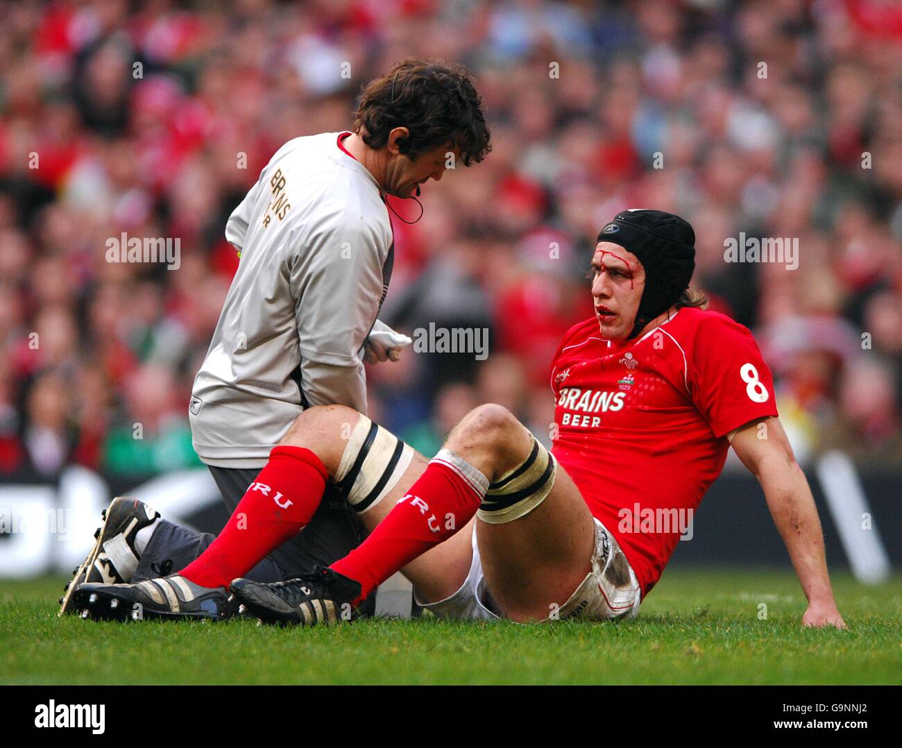 Ryan jones injury rugby hi-res stock photography and images - Alamy
