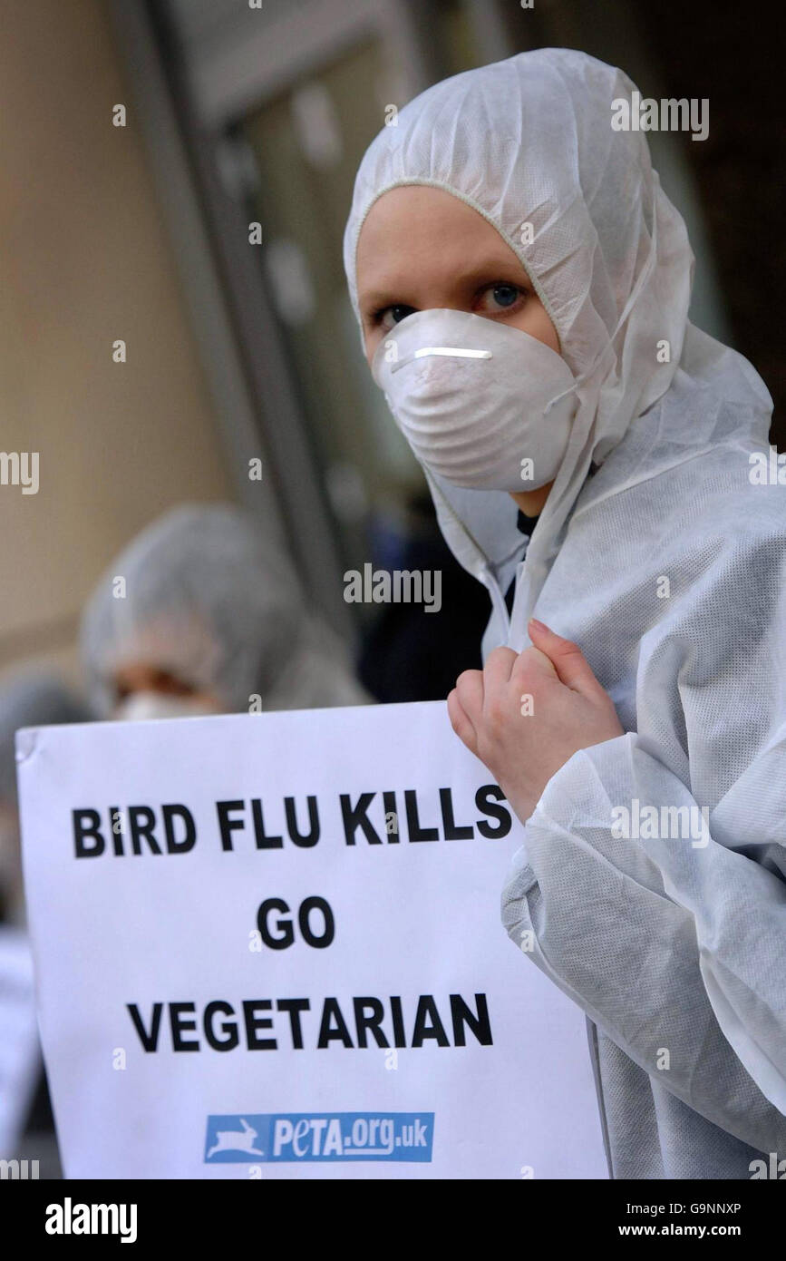 Bird Flu protest Stock Photo - Alamy