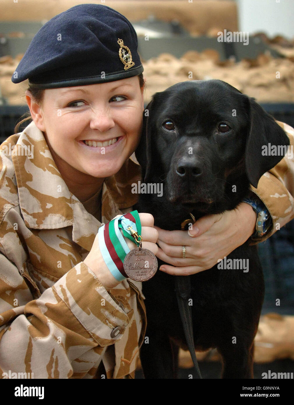 Army dog awarded hero medal hi-res stock photography and images - Alamy