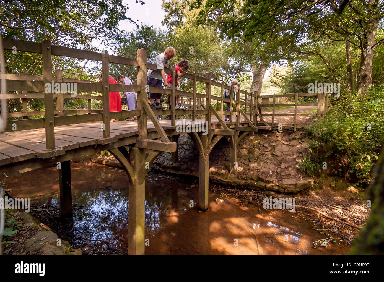 Children playing Pooh Sticks on Pooh Bridge in Ashdown Forest Stock ...