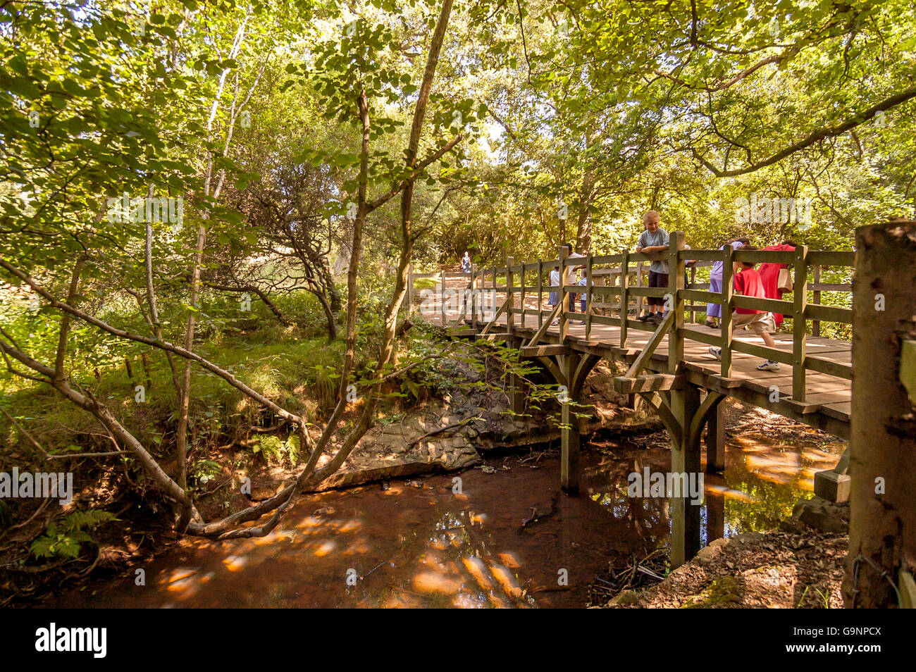 Children playing Pooh Sticks on Pooh Bridge in Ashdown Forest Stock ...