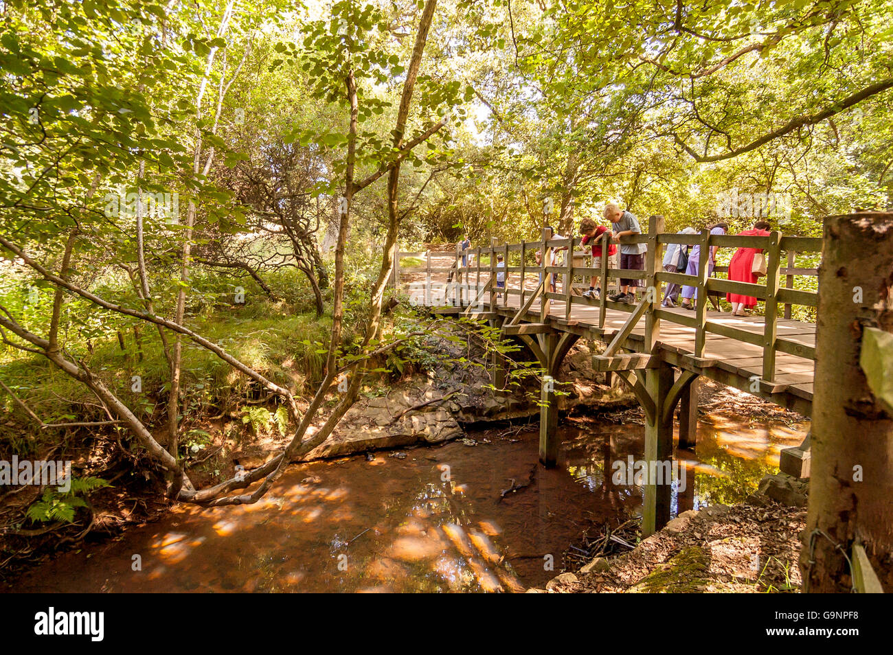 Children playing Pooh Sticks on Pooh Bridge in Ashdown Forest Stock ...