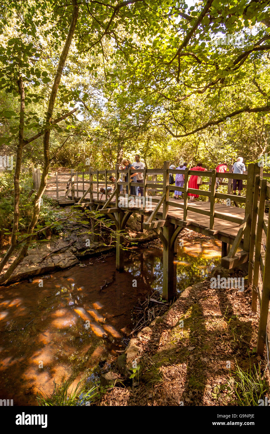 Children playing Pooh Sticks on Pooh Bridge in Ashdown Forest Stock ...