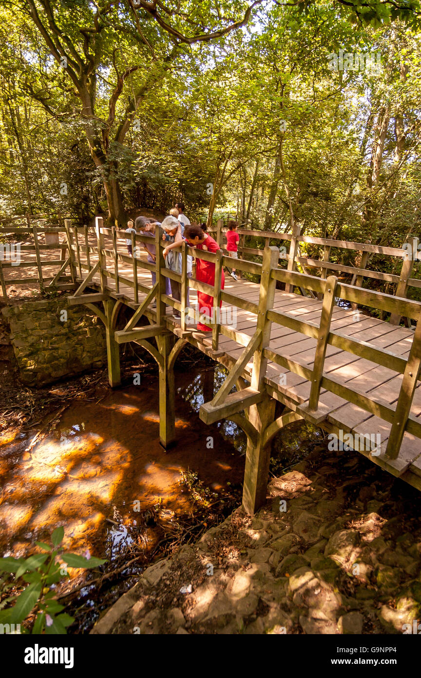 Children playing Pooh Sticks on Pooh Bridge in Ashdown Forest Stock ...