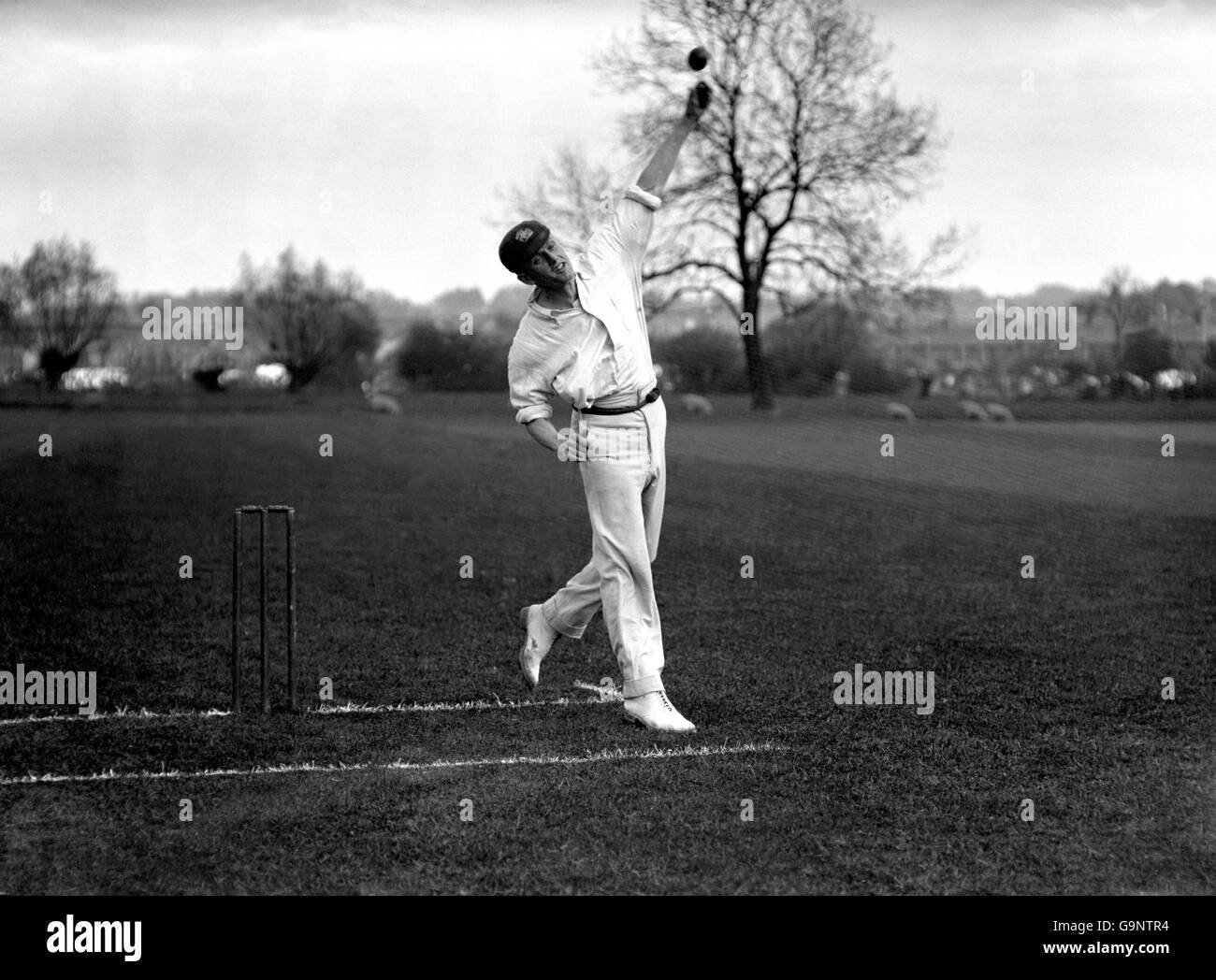 Charlie colin hi-res stock photography and images - Alamy