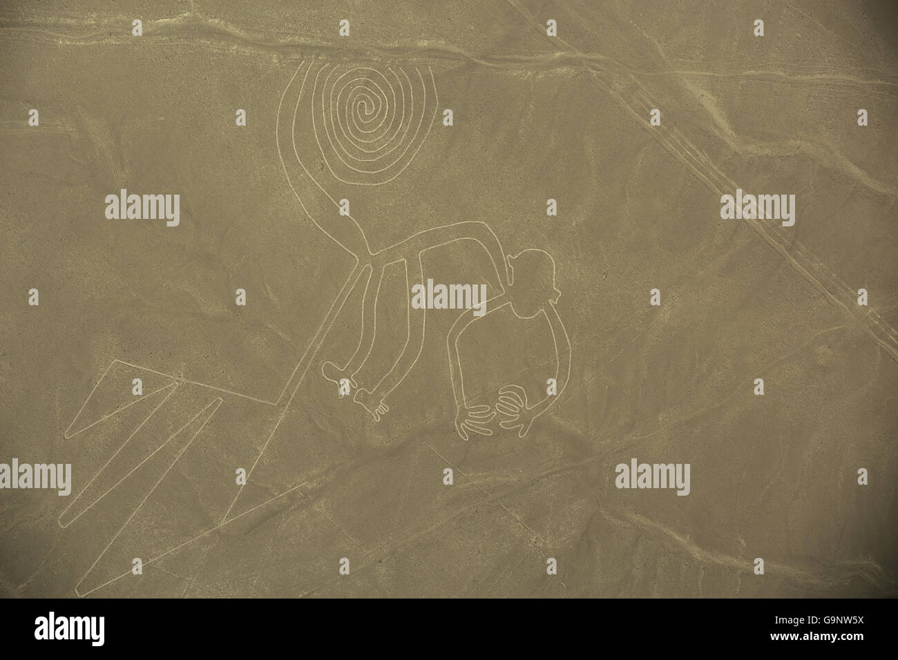 Nazca Lines, Aerial View, Peru, The Monkey Stock Photo - Alamy
